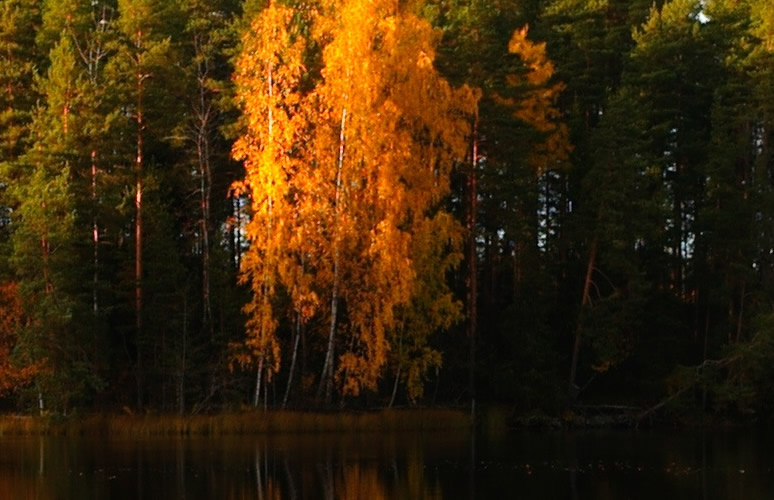 umland1 – Seegasthof Espachweiler