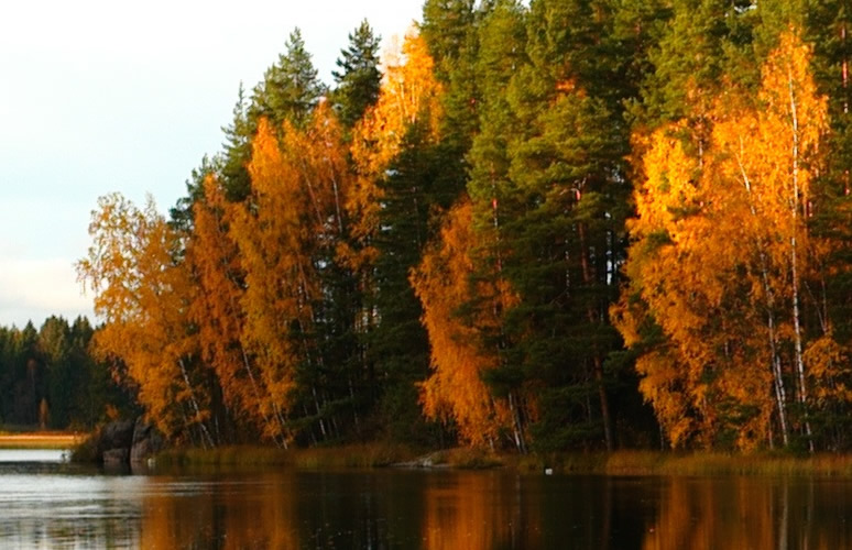 umland2 – Seegasthof Espachweiler